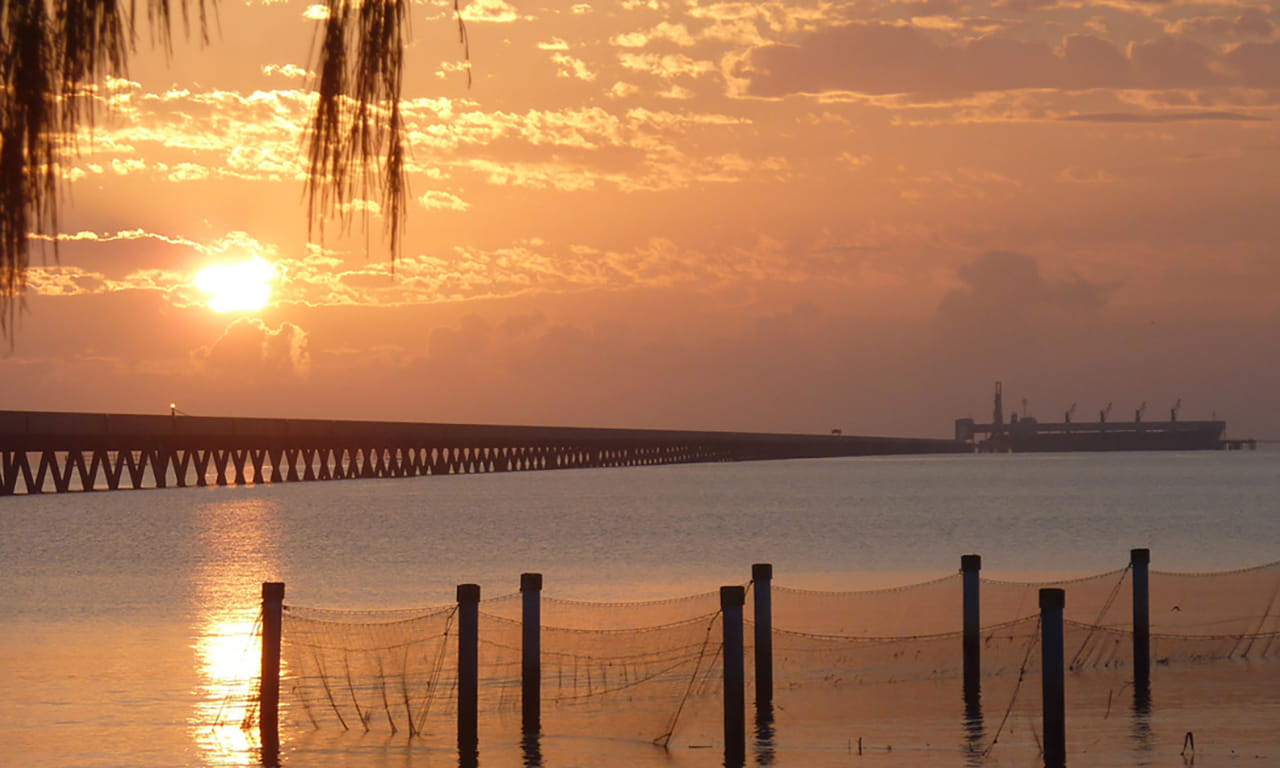 News | Rebuild of Lucinda Bulk Sugar Terminal in wake of Cyclone Yasi