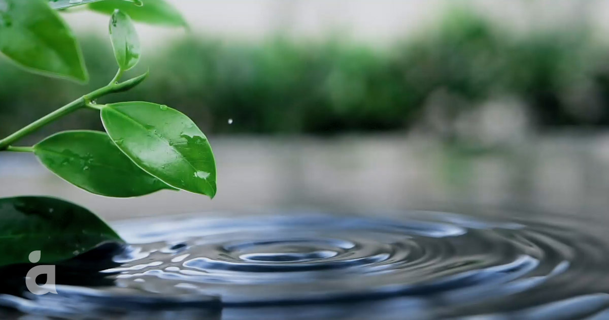 Expertise | Water partnerships: one drop makes a wave