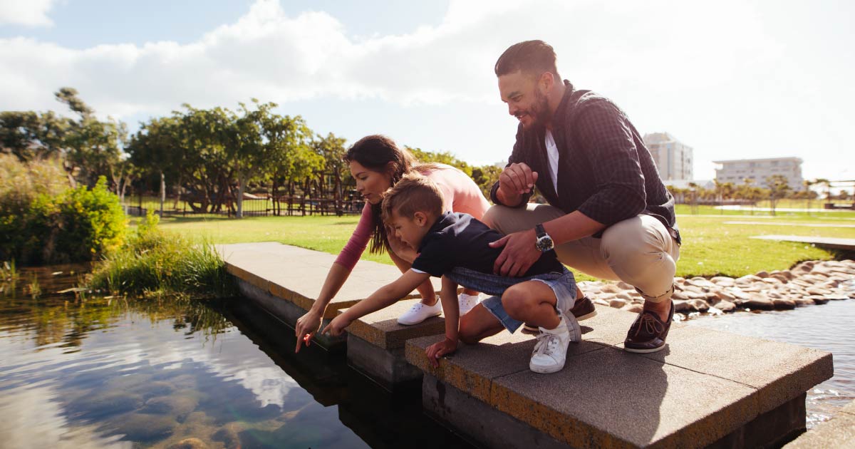 Insights | Blue and green in urban settings should always be seen