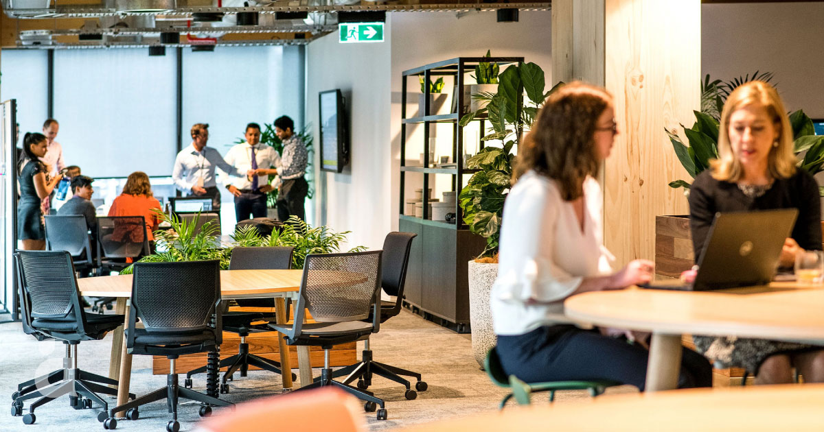 Insights | Workplace of the future: The new workplace ecosystem