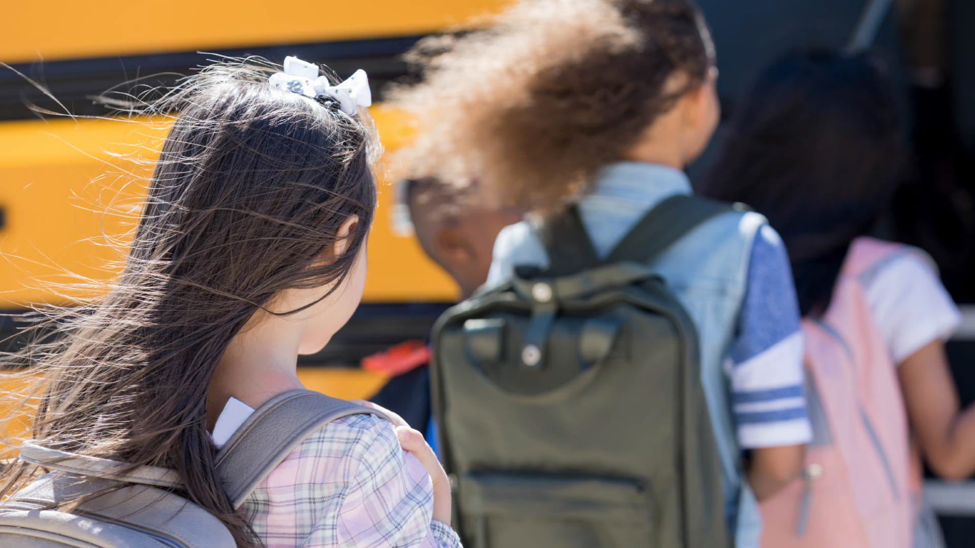 Projects | The Aurecon A-Bridge, Kyogle, Australia