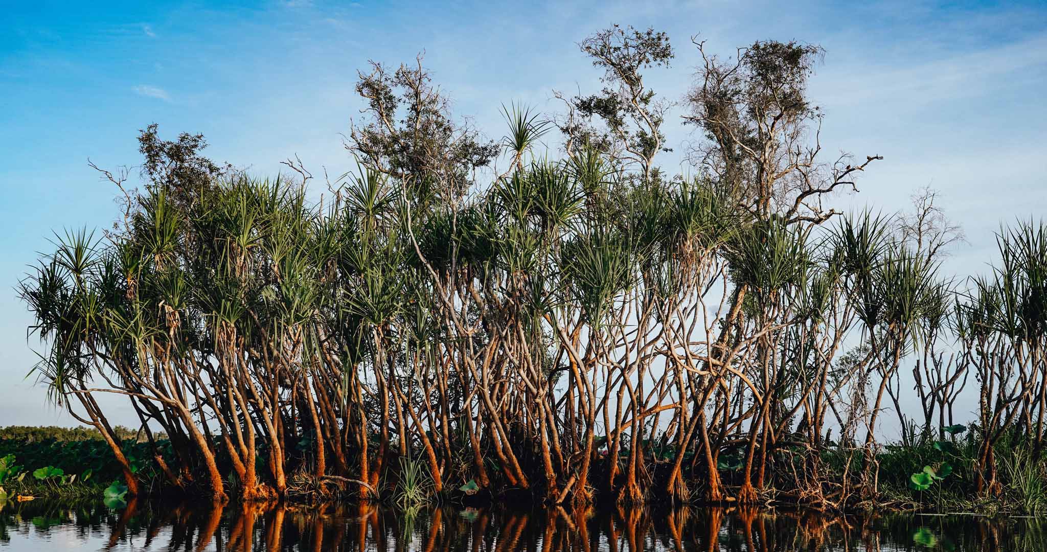 Markets | Aurecon | Water